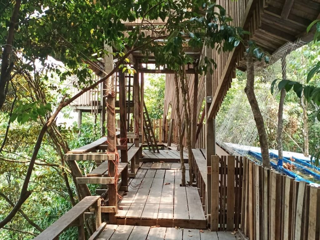 Rainforest Tree House Getaway with Hiking & Waterfall Excursions in ...