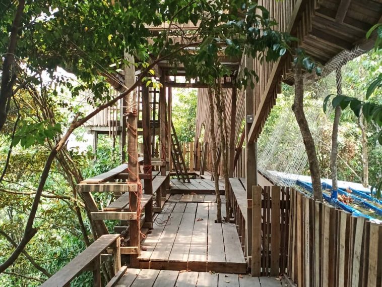 Rainforest Tree House Getaway with Hiking & Waterfall Excursions in ...