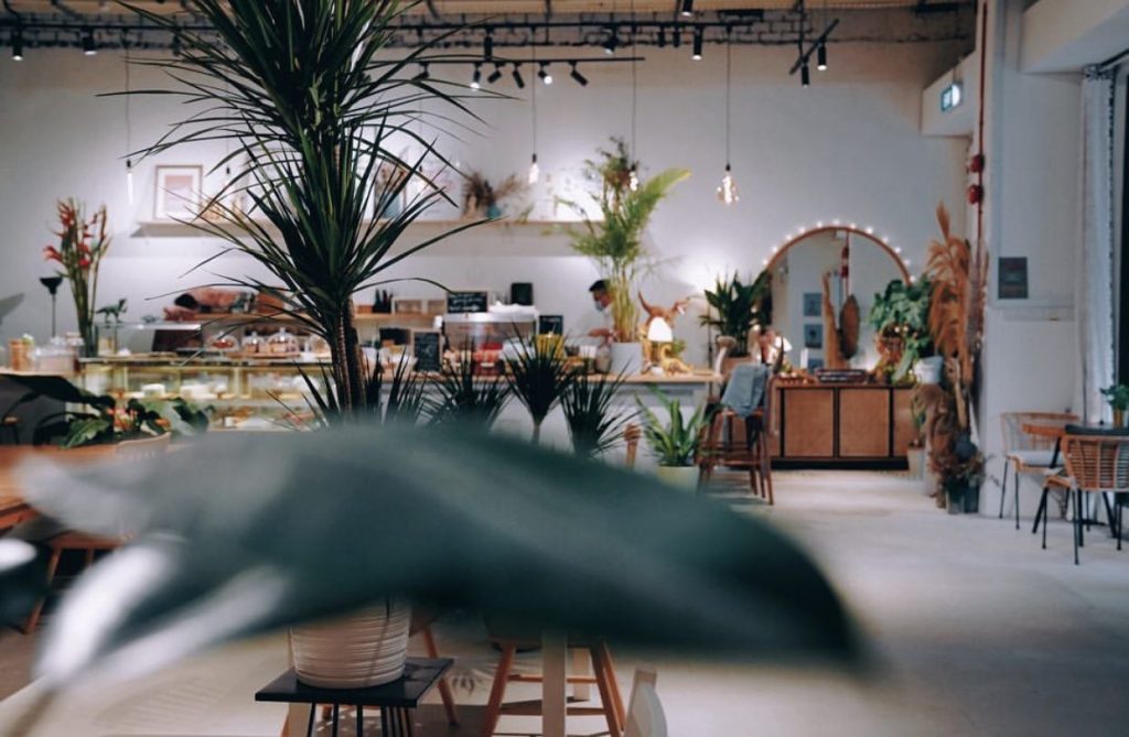 NEW NATURE-INSPIRED FAMILY CAFÉ WITH POCKET-FRIENDLY EATS - Shout
