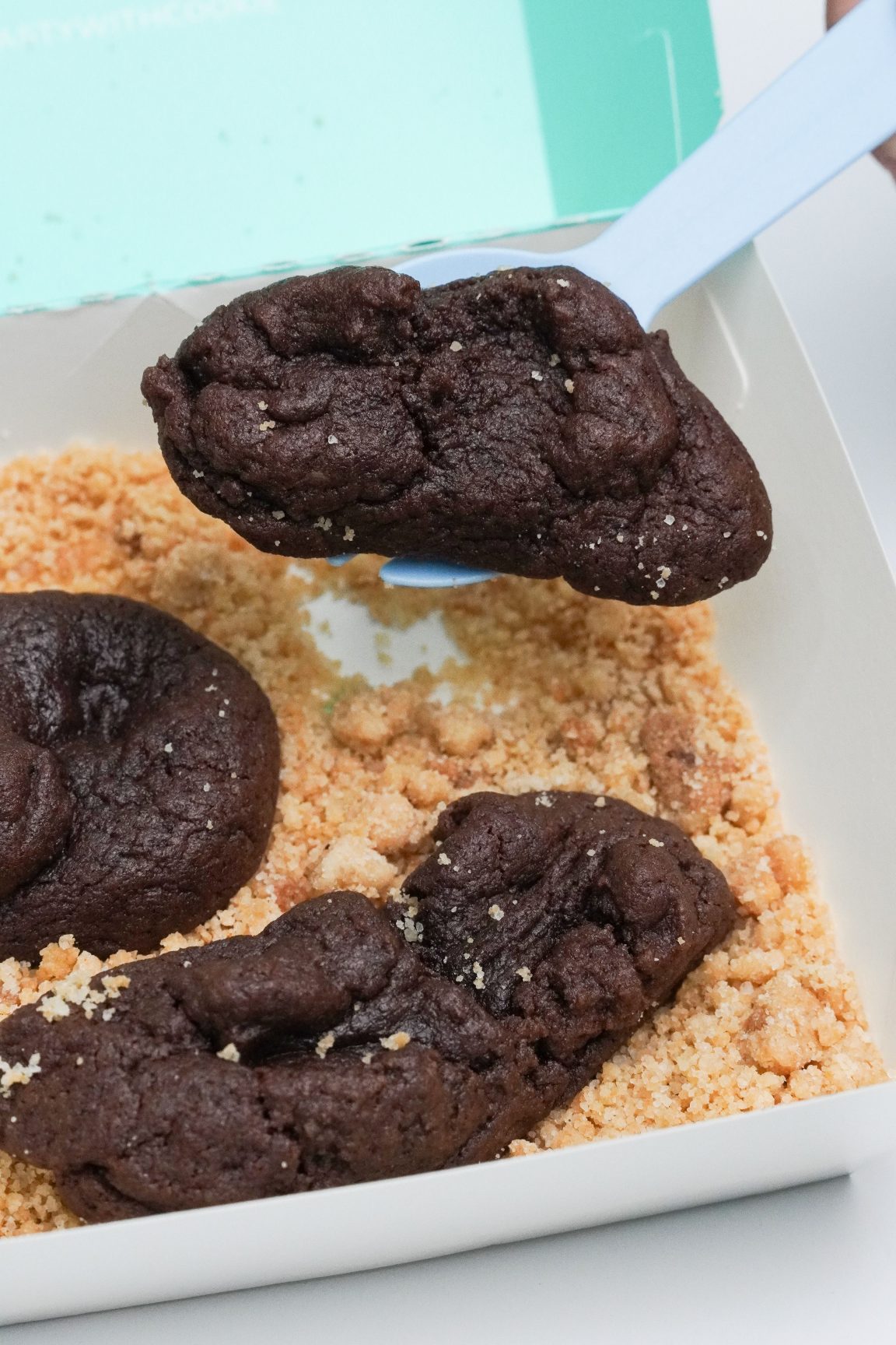 EAT POOP WITH NASTY COOKIE’S REALISTIC CAT LITTER BROWNIES - Shout
