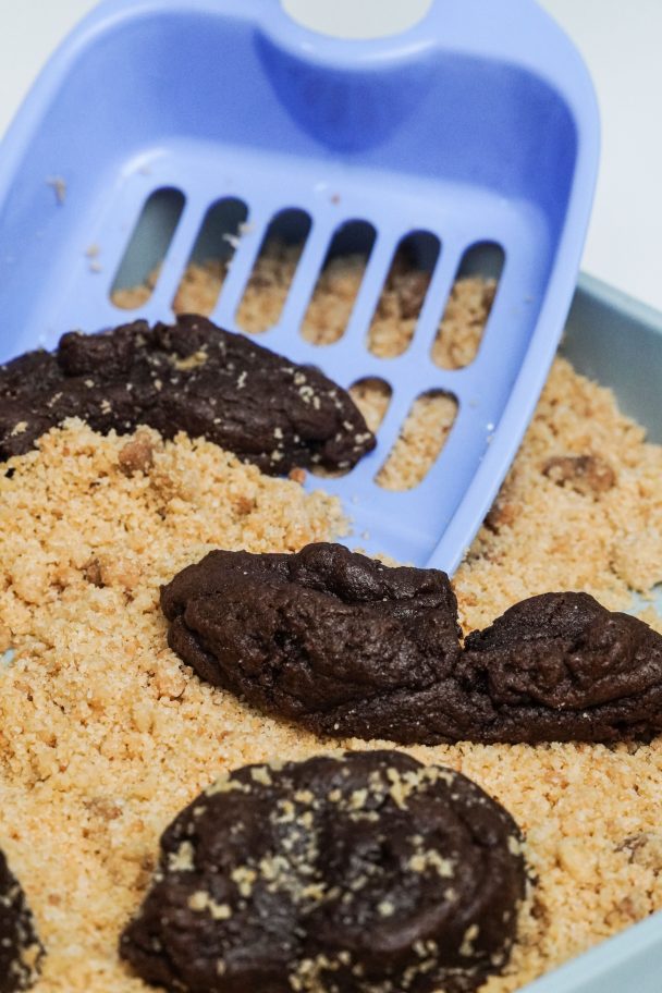 EAT POOP WITH NASTY COOKIE’S REALISTIC CAT LITTER BROWNIES - Shout
