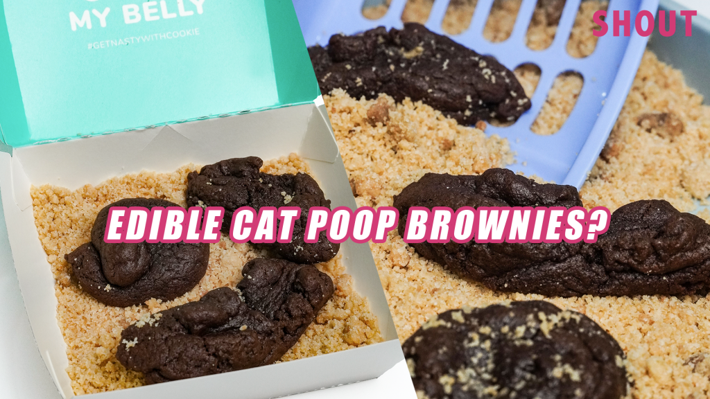EAT POOP WITH NASTY COOKIE’S REALISTIC CAT LITTER BROWNIES - Shout