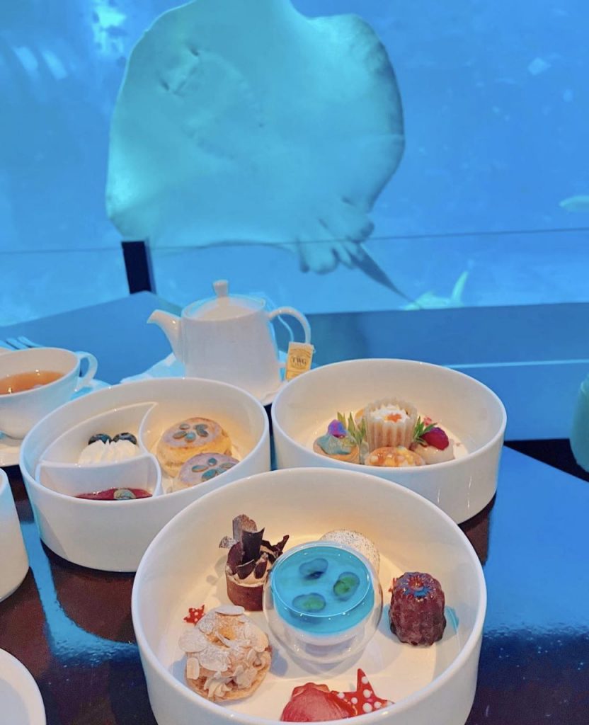UNDERWATER HIGH TEA WITH THE FISHES - Shout