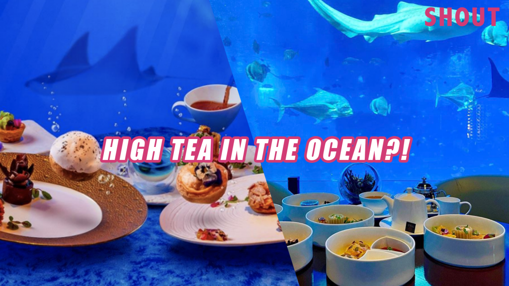 UNDERWATER HIGH TEA WITH THE FISHES - Shout