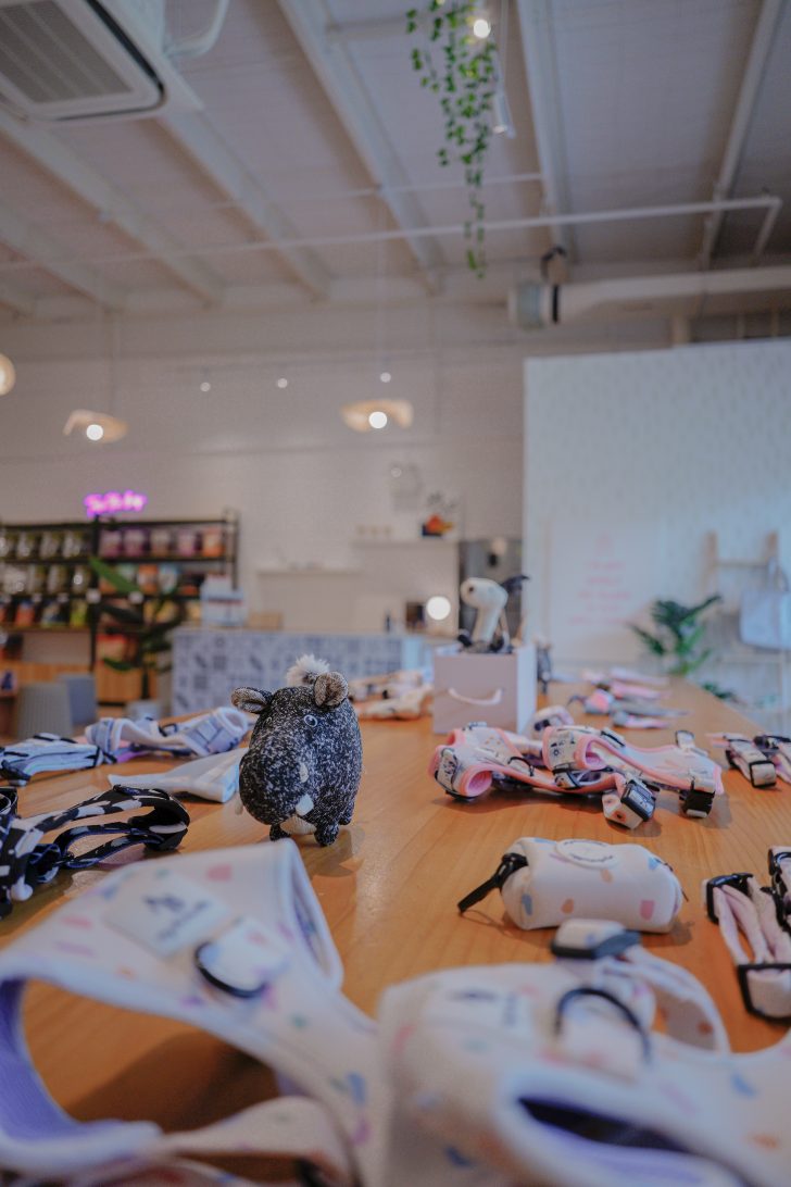 SINGAPORE’S FIRST PET CONCEPT STORE WITH INSTAGRAMMABLE PHOTO SPOTS ...
