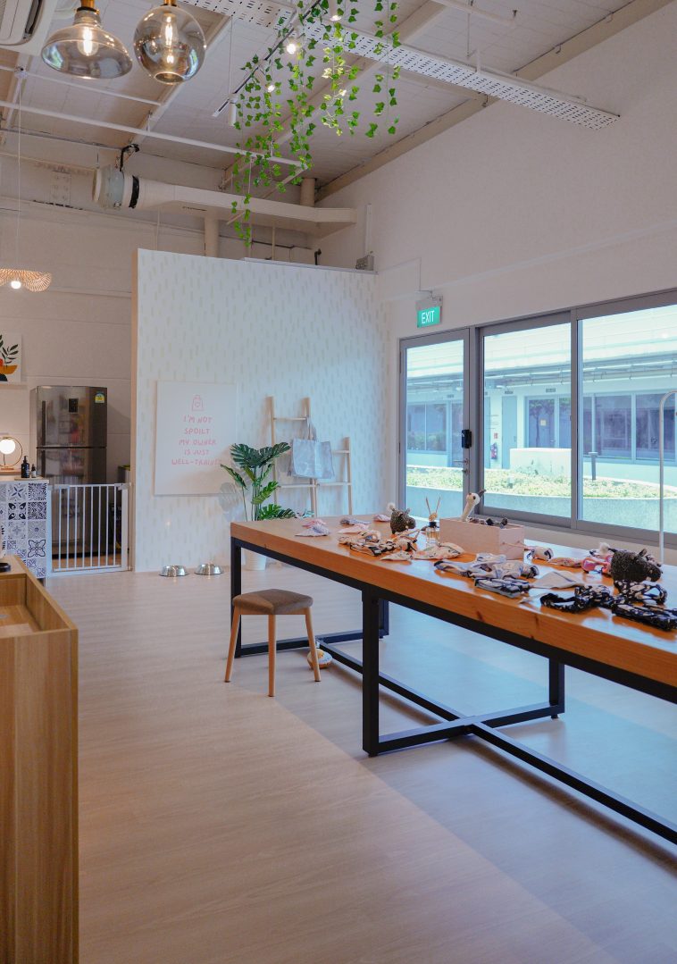 SINGAPORE’S FIRST PET CONCEPT STORE WITH INSTAGRAMMABLE PHOTO SPOTS ...