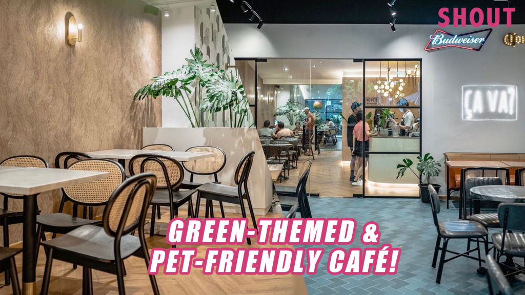 MODERN GREEN-THEMED CAFÉ WITH PET-FRIENDLY ALFRESCO AREA & ALL-DAY ...