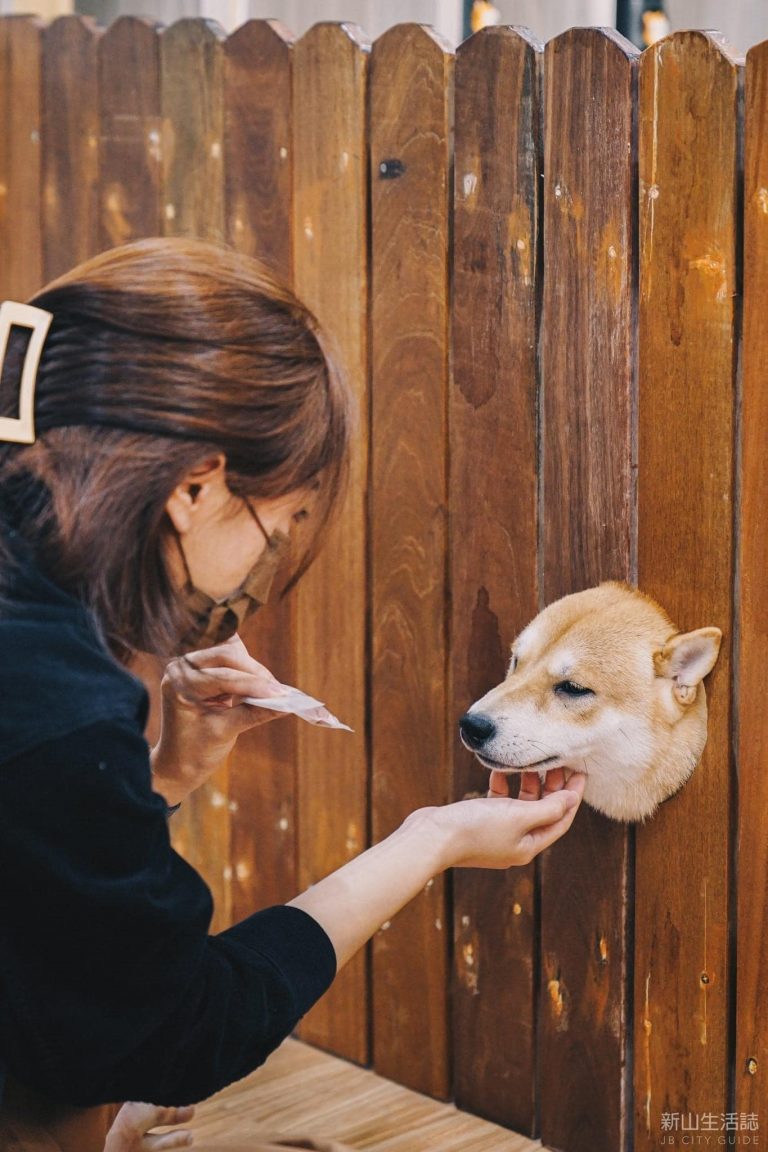 VISIT MALAYSIA’S FIRST-EVER SHIBA INU CAFÉ FOR RM10 A SESSION WITH FREE ...