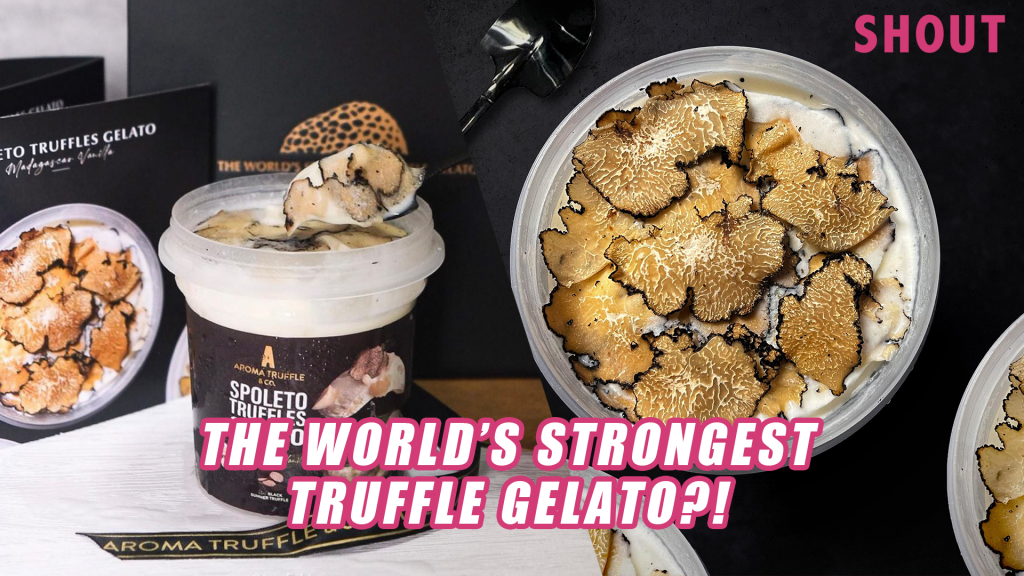THIS LUXE TRUFFLE GELATO TOPPED WITH REAL TRUFFLE SLICES IS ONLY ...