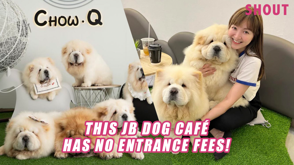 THIS DOG CAFÉ IN JOHOR BAHRU IS 20 MINUTES AWAY FROM THE CHECKPOINT ...