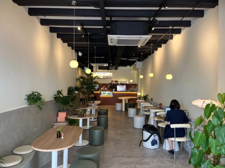 ZEN SAGE GREEN-THEMED CAFÉ WITH AESTHETIC & MINIMALIST VIBES! - Shout