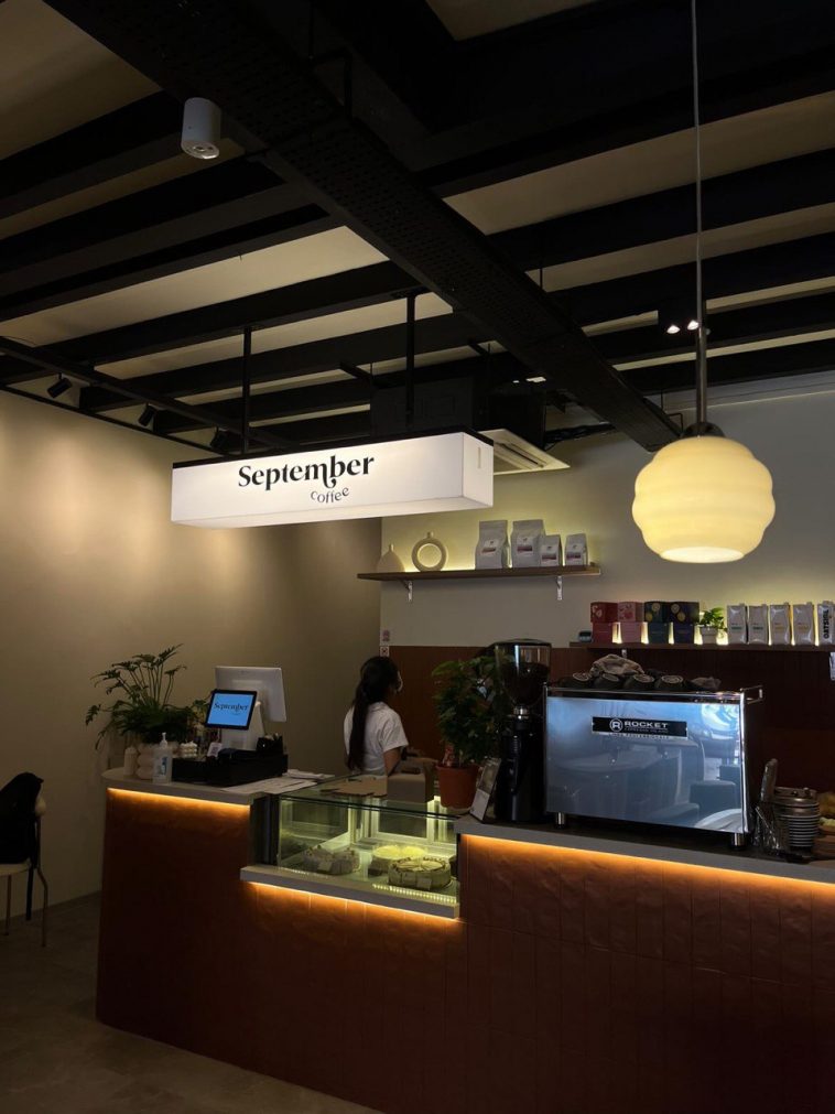ZEN SAGE GREEN-THEMED CAFÉ WITH AESTHETIC & MINIMALIST VIBES! - Shout