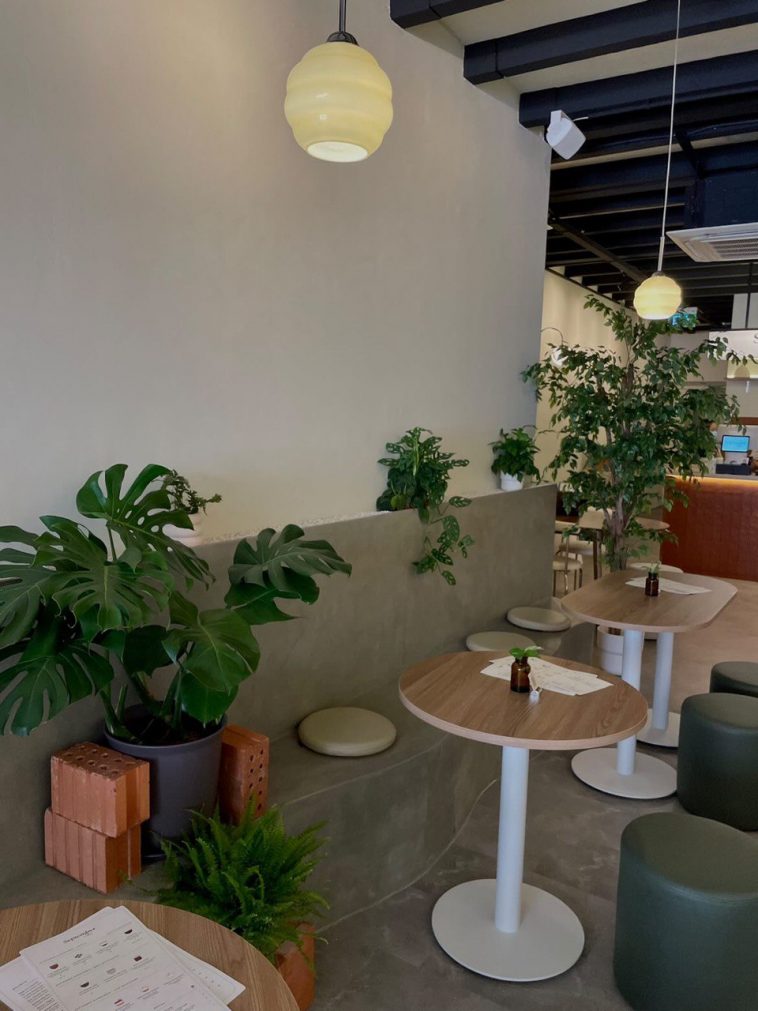 ZEN SAGE GREEN-THEMED CAFÉ WITH AESTHETIC & MINIMALIST VIBES! - Shout