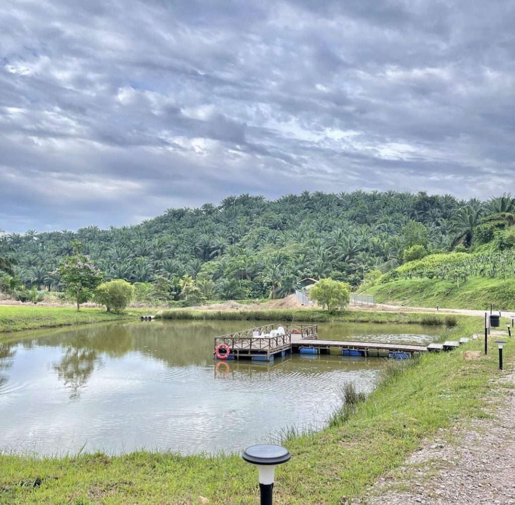 PICTURESQUE CABIN STAY & CAFÉ WITH STUNNING HILLTOP VIEWS IN JOHOR! - Shout