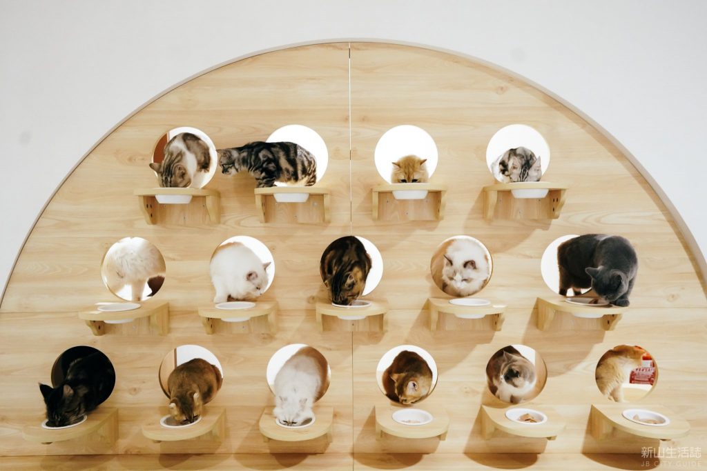 THIS 2-STOREY DOG & CAT CAFÉ IN JOHOR BAHRU HAS OVER 10 UNIQUE BREEDS ...