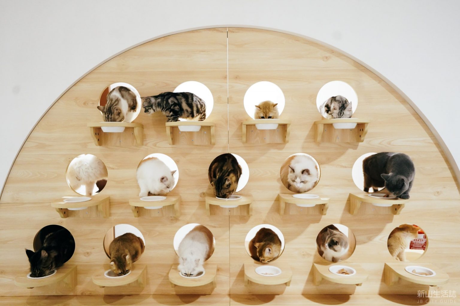 THIS 2-STOREY DOG & CAT CAFÉ IN JOHOR BAHRU HAS OVER 10 UNIQUE BREEDS ...