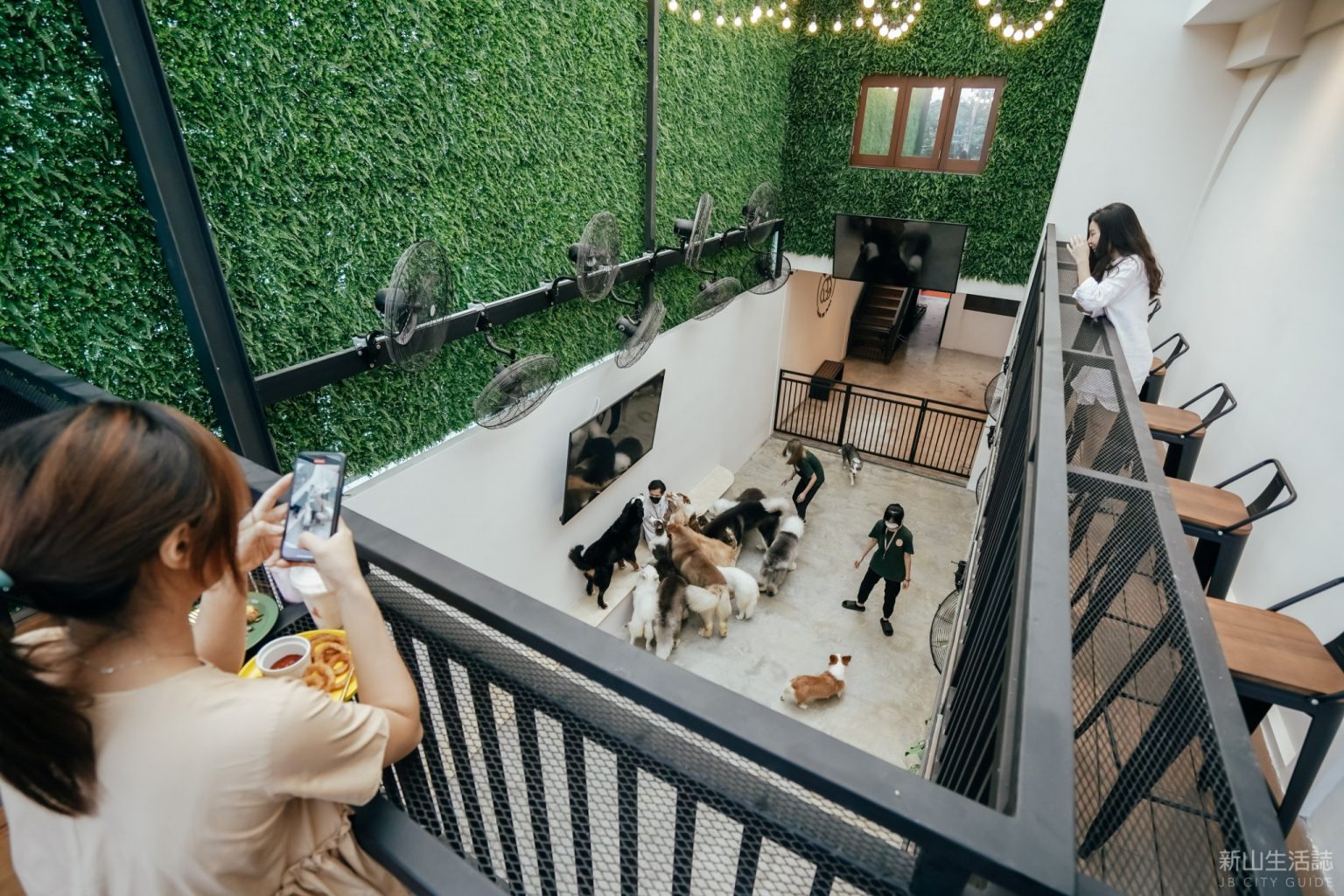 THIS 2-STOREY DOG & CAT CAFÉ IN JOHOR BAHRU HAS OVER 10 UNIQUE BREEDS ...