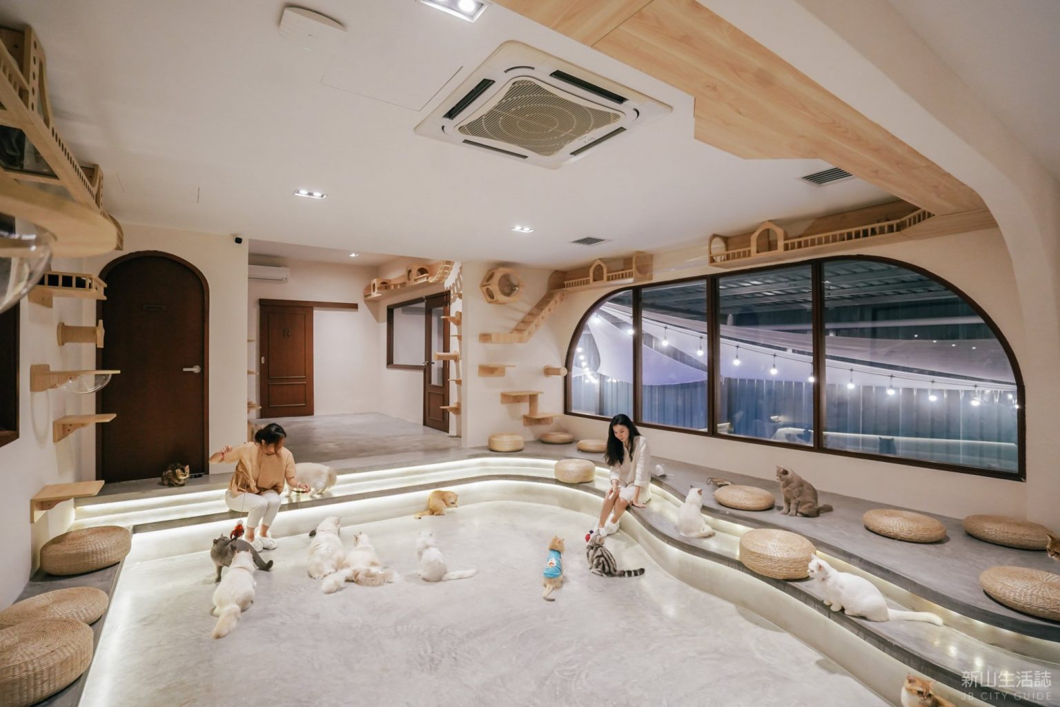 THIS 2-STOREY DOG & CAT CAFÉ IN JOHOR BAHRU HAS OVER 10 UNIQUE BREEDS ...