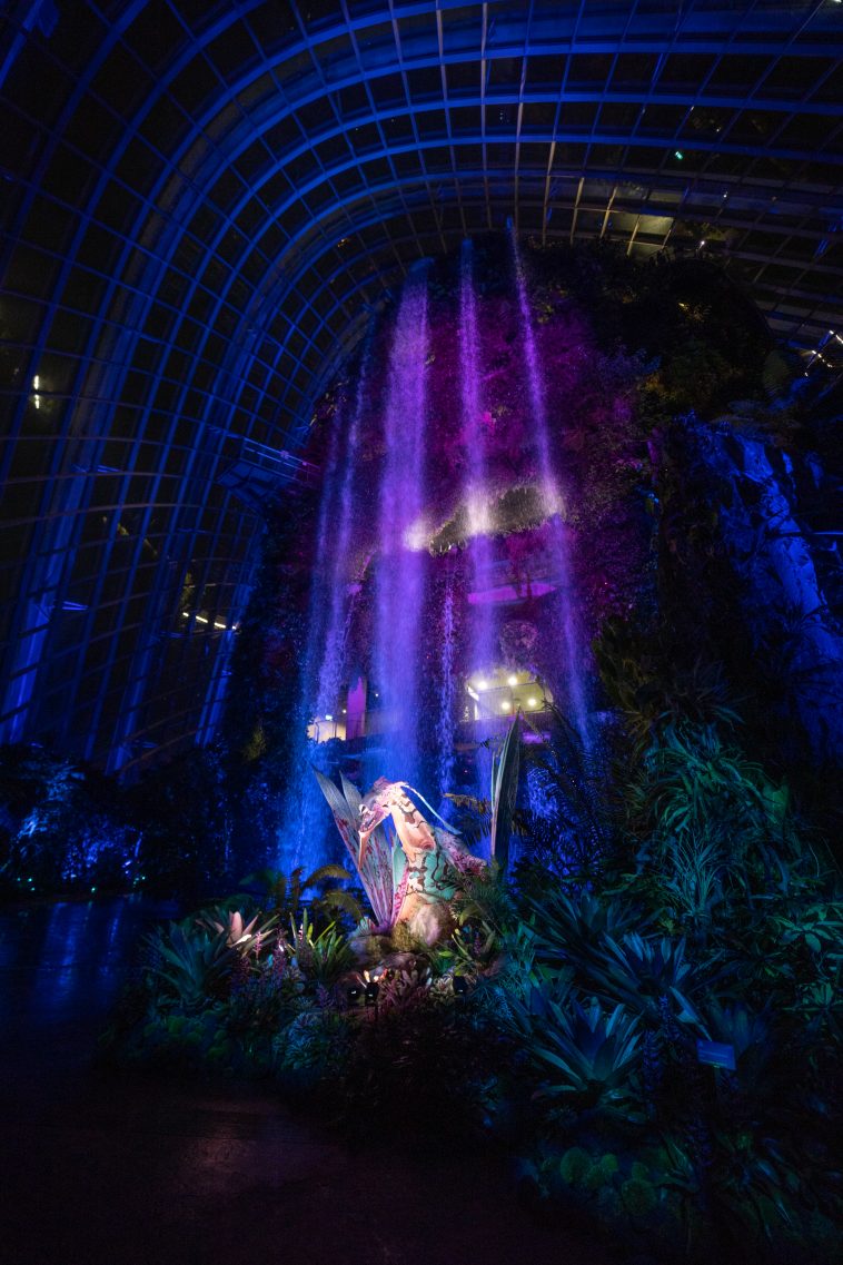 EVERYTHING YOU NEED TO KNOW ABOUT AVATAR: THE EXPERIENCE AT GARDENS BY ...