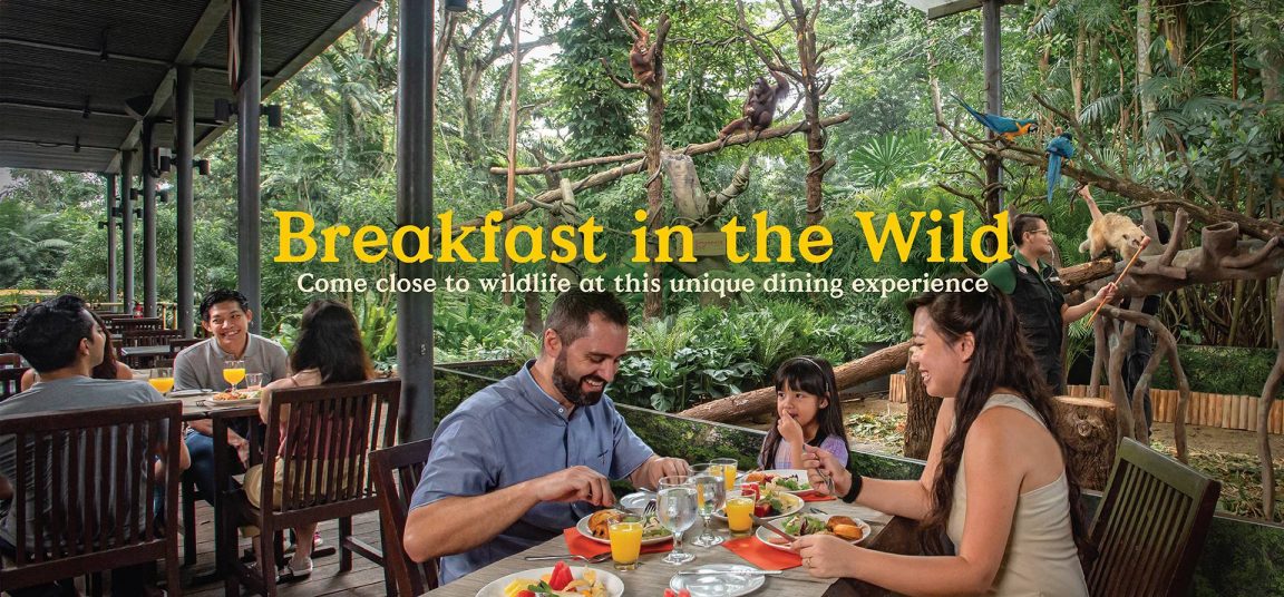 BREAKFAST WITH WILD ANIMALS AT SINGAPORE ZOO IS BACK THIS OCTOBER! - Shout