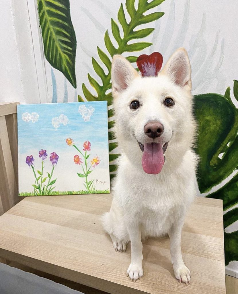THIS ART JAMMING STUDIO HAS PAINTING SESSIONS JUST FOR DOGS! - Shout