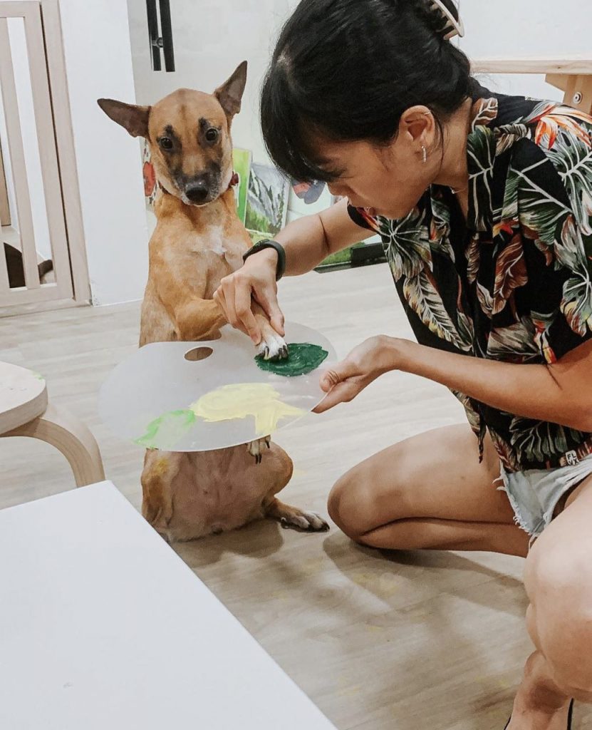 THIS ART JAMMING STUDIO HAS PAINTING SESSIONS JUST FOR DOGS! - Shout