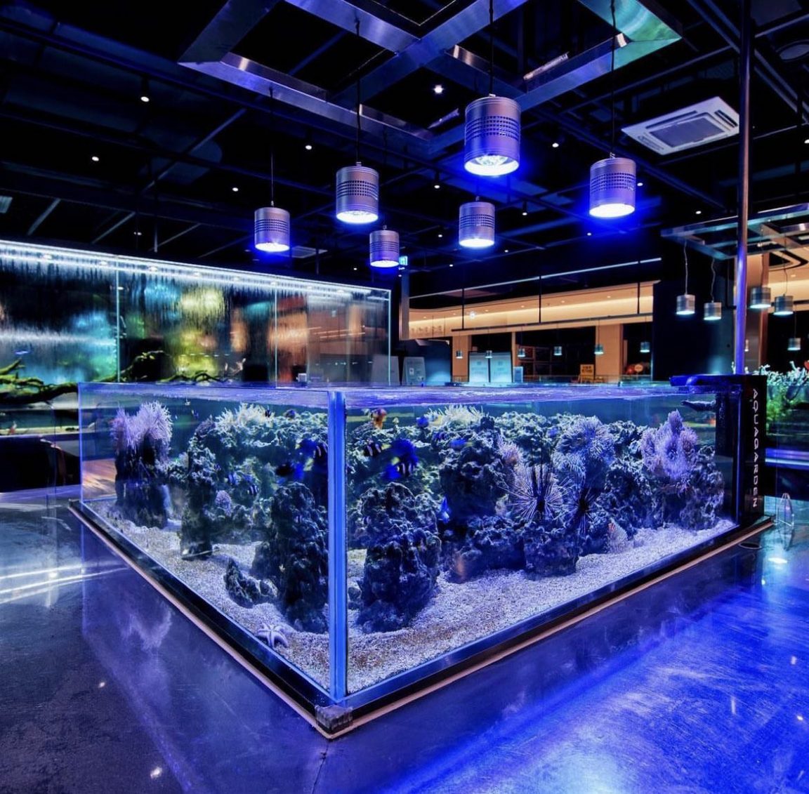 AQUA GARDEN: MAGICAL CAFÉ IN KOREA LETS YOU DINE “UNDERWATER” IN AN ...