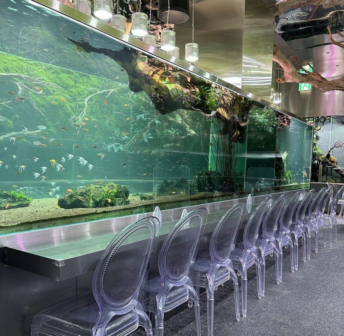 AQUA GARDEN: MAGICAL CAFÉ IN KOREA LETS YOU DINE “UNDERWATER” IN AN ...