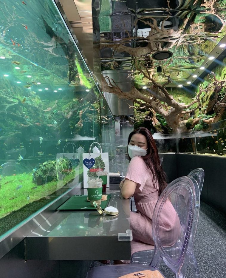 AQUA GARDEN: MAGICAL CAFÉ IN KOREA LETS YOU DINE “UNDERWATER” IN AN AQUARIUM! - Shout