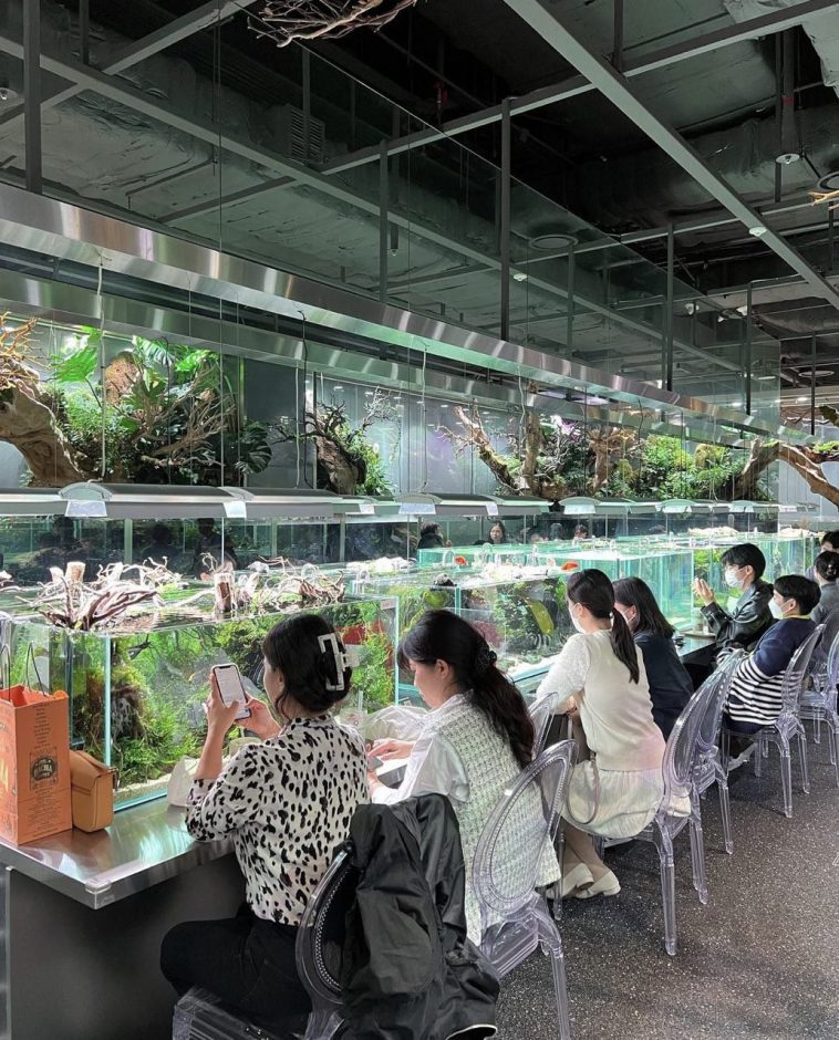 AQUA GARDEN: MAGICAL CAFÉ IN KOREA LETS YOU DINE “UNDERWATER” IN AN ...