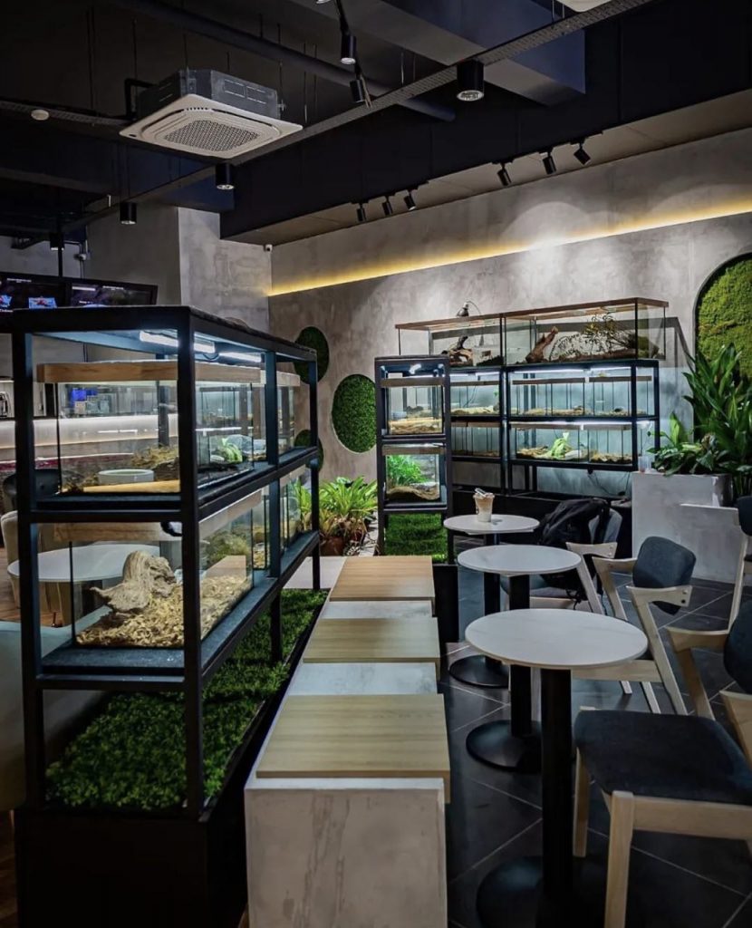 THIS REPTILE DESSERT CAFÉ IN KUALA LUMPUR LETS YOU DINE WITH LIVE ...