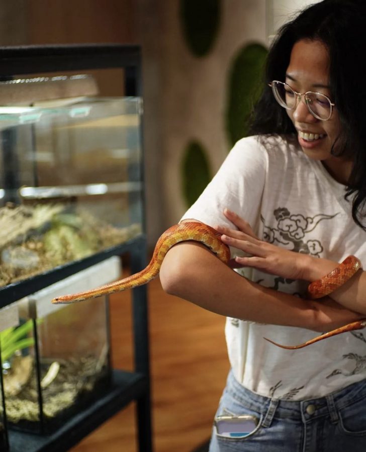 THIS REPTILE DESSERT CAFÉ IN KUALA LUMPUR LETS YOU DINE WITH LIVE ...
