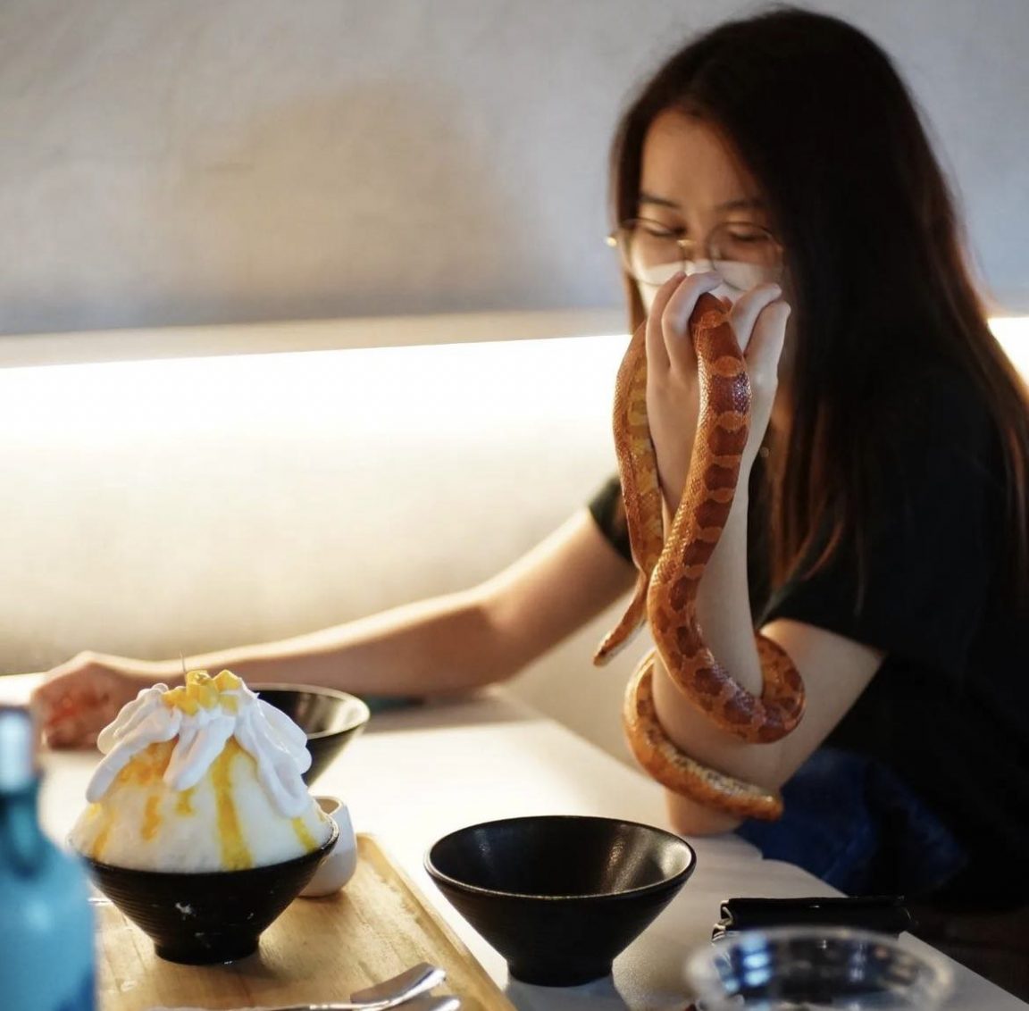 THIS REPTILE DESSERT CAFÉ IN KUALA LUMPUR LETS YOU DINE WITH LIVE ...