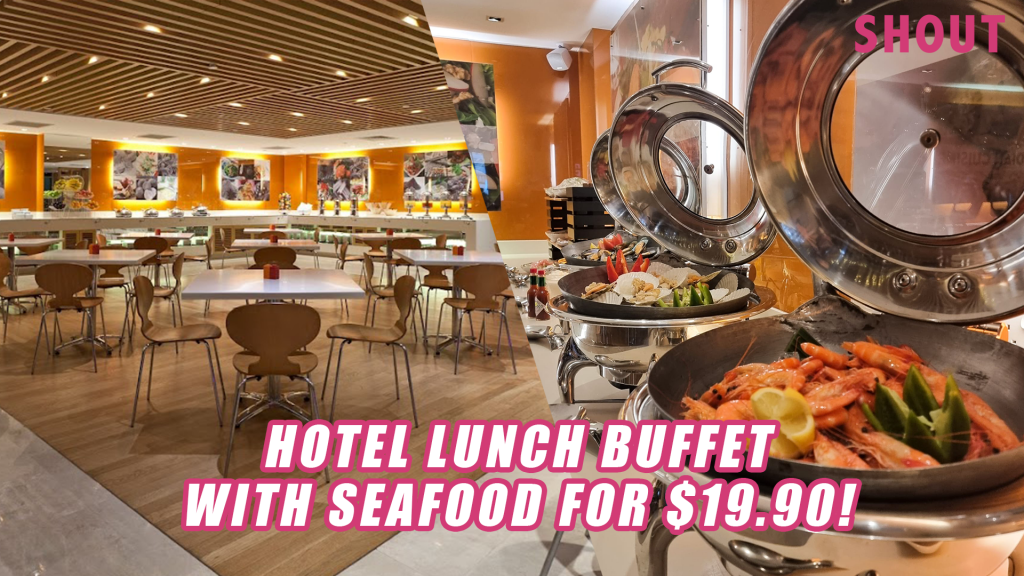 FUSION LUNCH BUFFET AT IBIS SINGAPORE FOR JUST $19.90 PER PERSON WITH ...