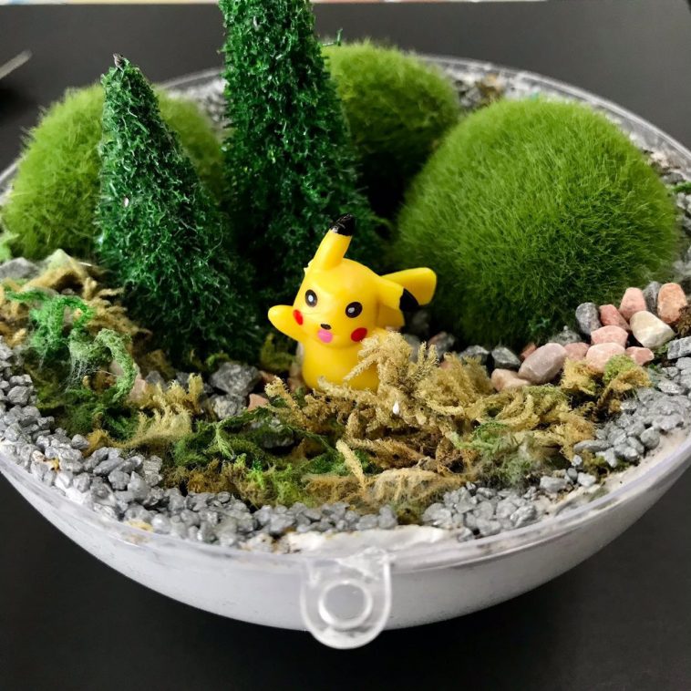 DIY POKÉMON BALL TERRARIUM WORKSHOP AT THIS ART STUDIO ONLY IN MARCH ...