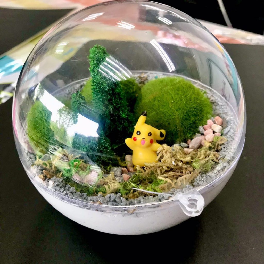 DIY POKÉMON BALL TERRARIUM WORKSHOP AT THIS ART STUDIO ONLY IN MARCH ...