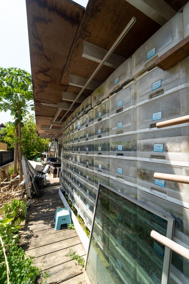 THIS “CRAB CONDO” IN SINGAPORE FARMS GIANT CRABS THAT YOU CAN EAT OR ...