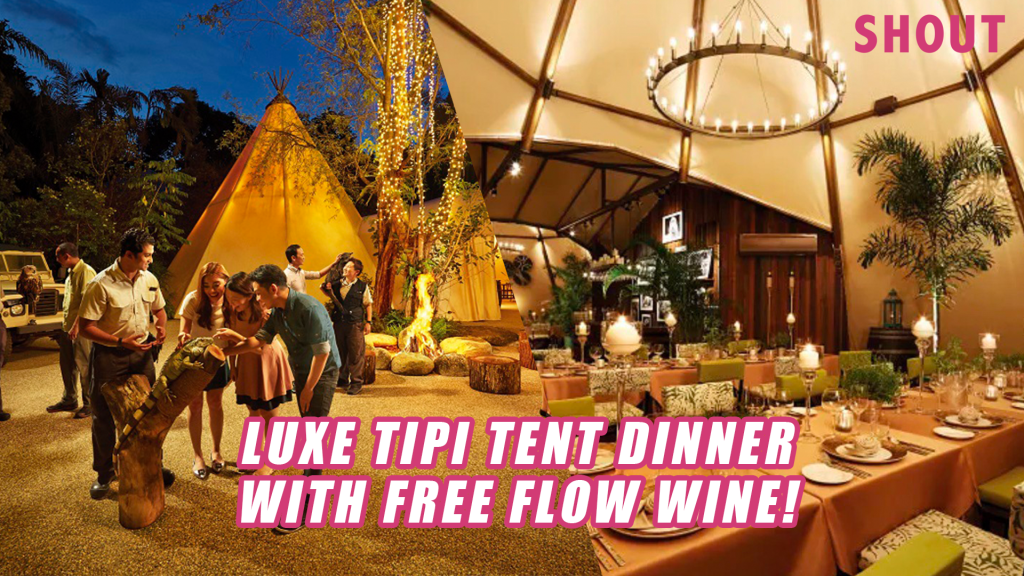 LUXE 4-COURSE DINNER IN A TIPI TENT UNDER THE STARS WITH FREE FLOW WINE ...