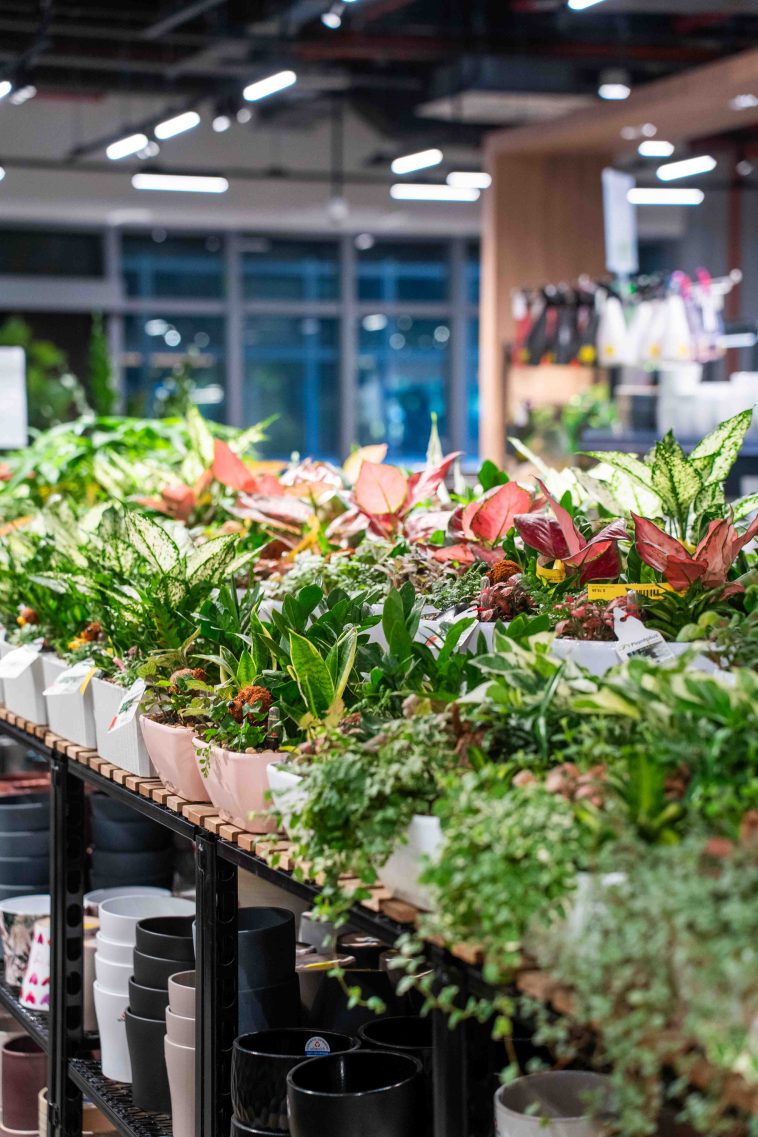 MEGA 11-STOREY PLANT HAVEN BY FAR EAST FLORA HAS OVER 1500 VARIETIES ...