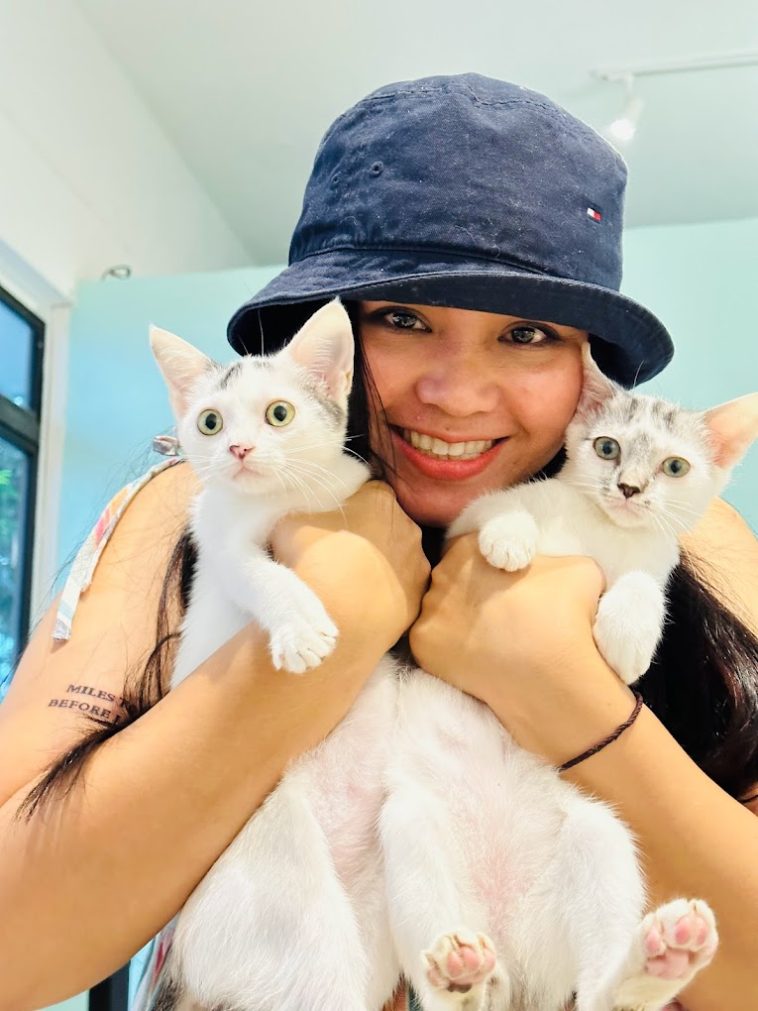 PAT-A-CAT: COSY CAT CAFÉ IN SINGAPORE HOUSES ABANDONED CATS, LETS YOU ...