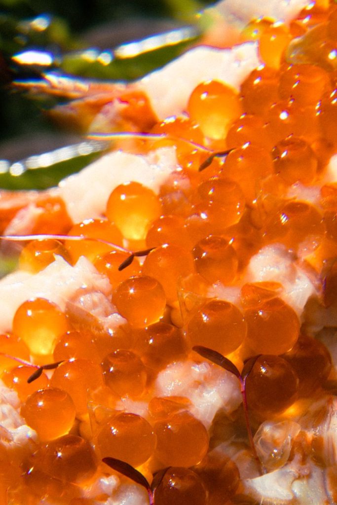 HIGHHOUSE: TALLEST NIGHTLIFE, F&B, MUSIC DESTINATION IN SINGAPORE WITH ...