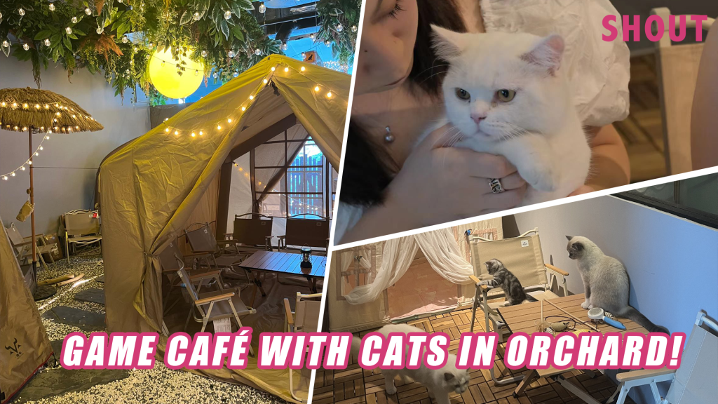 INDOOR CAMPING-THEMED GAME CAFÉ IN ORCHARD HAS COSY PRIVATE TENTS WITH ...