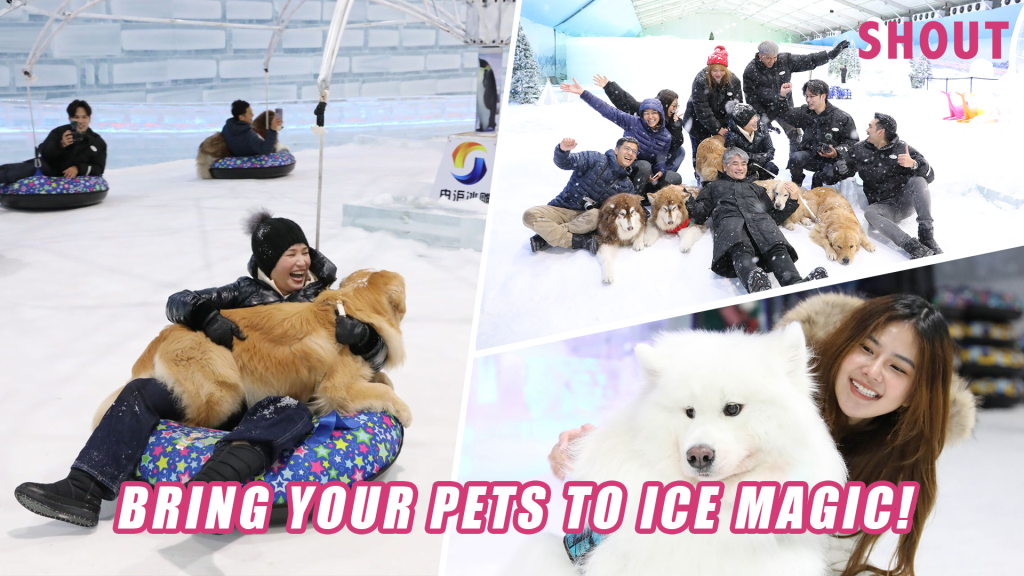 BRING YOUR FURRY FRIENDS TO SINGAPORE’S FIRST-EVER DOG-FRIENDLY WINTER ...