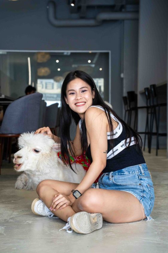 FIRST-EVER ALPACA CAFÉ IN JB WITH NO ENTRANCE FEES OR MINIMUM SPEND ...