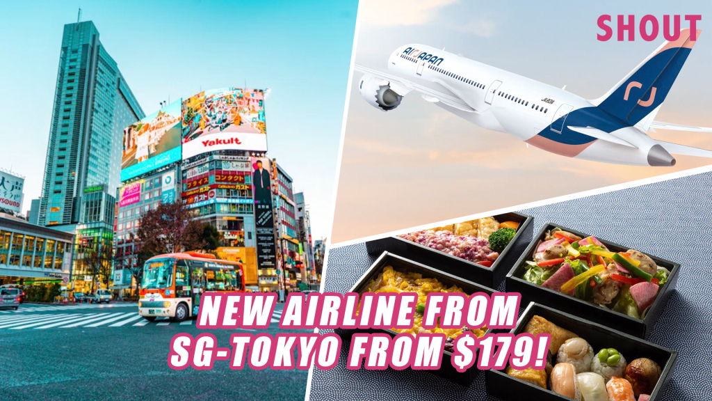 AIR JAPAN: NEW BUDGET AIRLINE BY ANA LAUNCHES FLIGHTS BETWEEN SINGAPORE ...
