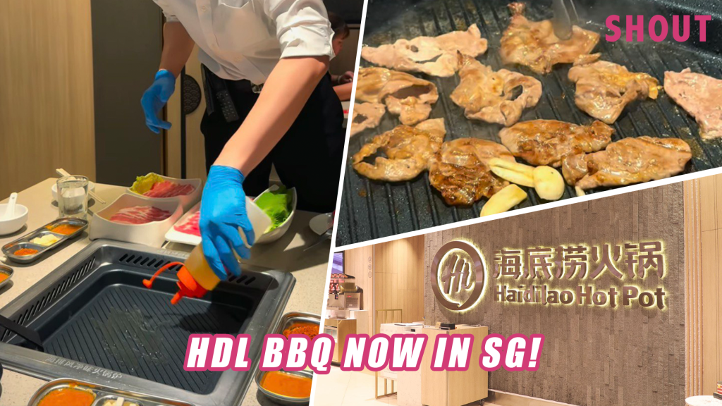 FIRST-EVER HDL BBQ GRILL NOW IN SINGAPORE FROM JUST $19.90 PER SET ...