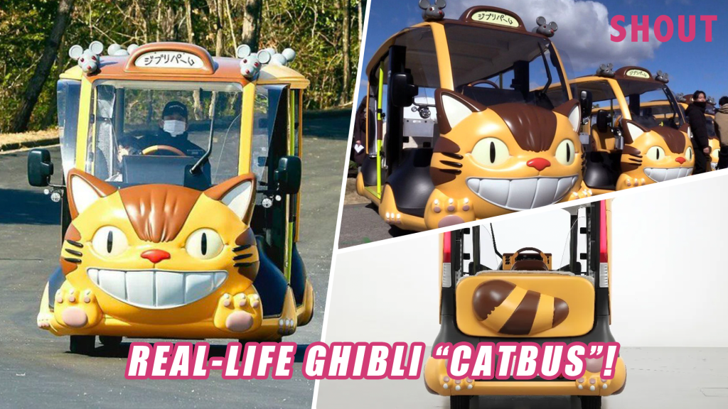 NEW REAL-LIFE STUDIO GHIBLI “CATBUS” THAT YOU CAN ACTUALLY RIDE IN ...