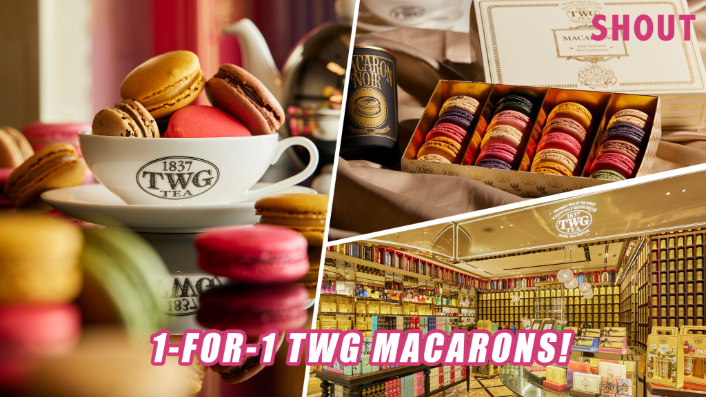 1-FOR-1 TWG MACARONS FROM $7.50 PER BOX FROM NOW TILL 24TH MARCH 2024 ...