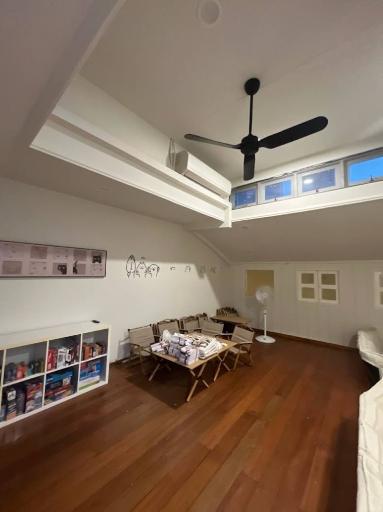 NEW 2-STOREY CAT CO-WORKING CAFÉ WITH GAMING CONSOLES, BOARD GAMES PLUS ...