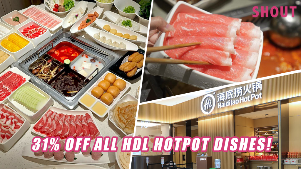 31% OFF ALL HDL HOTPOT DISHES FOR THE WHOLE TABLE, INCLUDING ADULTS, AS ...
